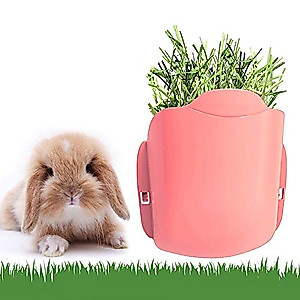 Small Animals Food Feeder, Rabbit Hay Feeder, Guinea Pig Hay Rack Rabbit Hay Manger Rodent Food Scoop Chinchilla Shelf Cage Accessories
