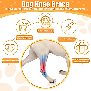 tisueteyi Dog Leg Braces for Front and Back Torn ACL Hind Leg, Rear Leg Joint Care Injury Support for Dogs Luxating Patella, Dog Arthritis, Hip Dysplasia, Adjustable Dog Acl Brace Size M