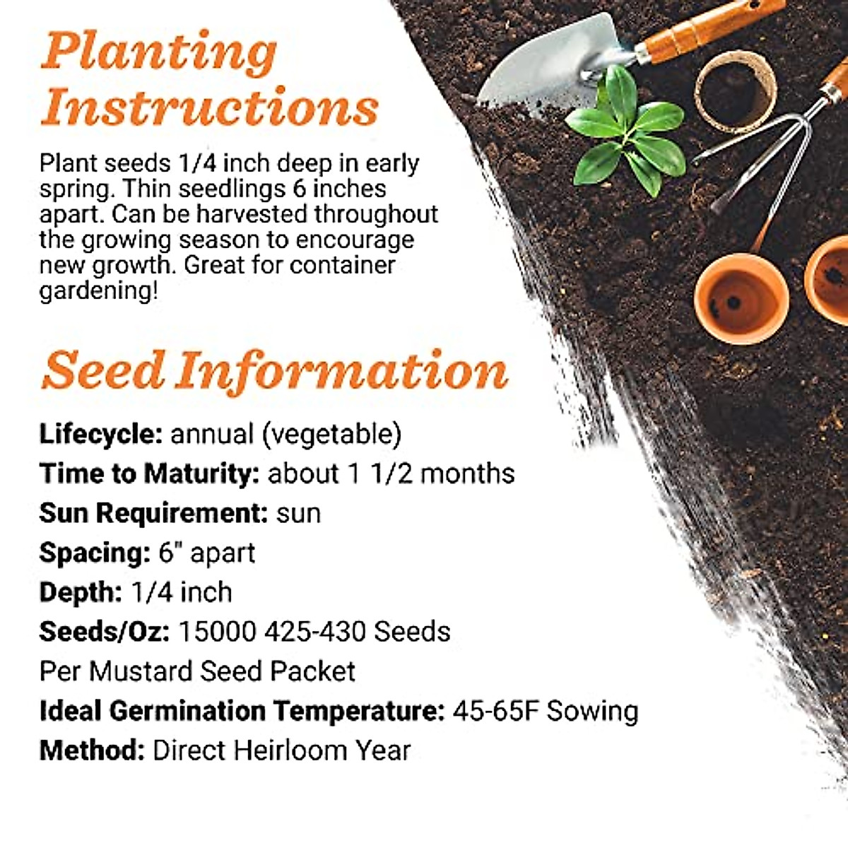 Bentley Seeds with Faith Pre Filled Giant Curled India Seed Packets - 25 Individual Mustard Seed Packs - Ideal for Party Favors - Non-GMO - Eco-Friendly Spring to Fall Gift - Outdoor Garden Seeds