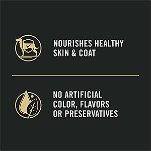 Purina Pro Plan Wet Dog Food for Small Dogs Adult Small Breed Turkey Entree High Protein Dog Food - (12) 3.5 oz. Trays