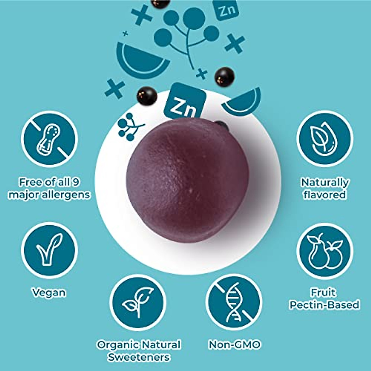 Hyland's Naturals Kids Organic Elderberry Plus Gummies, Organic Black Elderberry with ZINC and Vitamin C, Immune Support for Children, 48 Vegan Gummies (2 Pack)