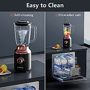 Evoloop Glass Blender, Countertop Blender, 750 Watt High Speed Smoothies Blender with 6 Blade System for Shakes, 50 oz Glass Jar, Self Cleaning