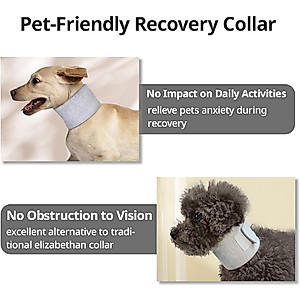 Generic Dog Neck Brace Elizabethan Collar for Pet After Surgery Recovery Adjustable Breathable Neck Cervical Cone for Small Medium Dogs Puppies Kittens with Spinal IVDD Issues Male Dogs (Medium,Grey)