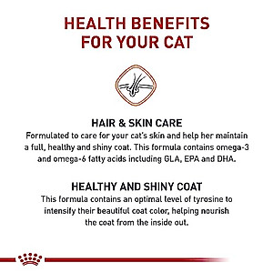Royal Canin Hair & Skin Care Dry Cat Food, 6 lb bag