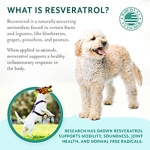 PetThrive Dog Hip and Joint Support Supplement Soft Chews with Resveratrol, Glucosamine, Chondroitin, Hyaluronic Acid, Bacon Flavor, Small Breed