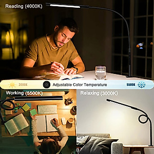 AmazLit Desk Lamp, Eye-Caring Desk Light, Gooseneck Lamp with Clamp, Adjustable Color Temperature & Brightness, Clip on Lamp with Memory & Timer Function, Clamp Lamp for Home Office, 12W, Black