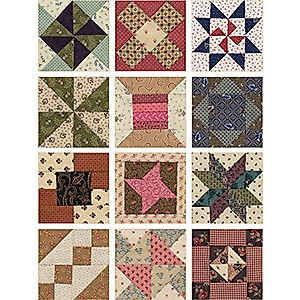 Schoolgirl Sampler: 72 Simple 4" Blocks and 7 Charming Quilts