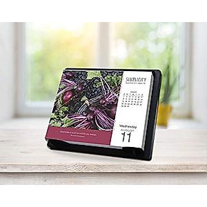 2021 Simplicity Inspirations for a Simpler Life Boxed Daily Calendar