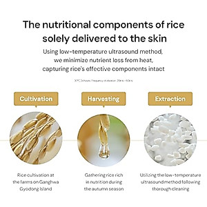 THANKYOU FARMER Rice Pure Essential Facial Toner for Woman 7.03 oz - Hydrating Rice Toner for Face with Niacinamide & Centella, Milk Toner for Glass Skin - Vegan Korean Skin Care for Dry Skin
