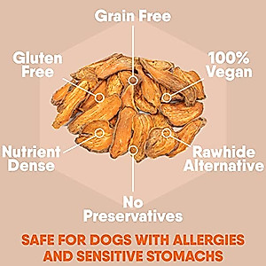 Davie's Sweet Potato Dog Treats, Made in The USA, High in Fiber, Grain Free, Vegan, No Preservatives, Vegetarian Alternative to Rawhide Chews, Rich in Vitamins, Large 1 lb. Bag