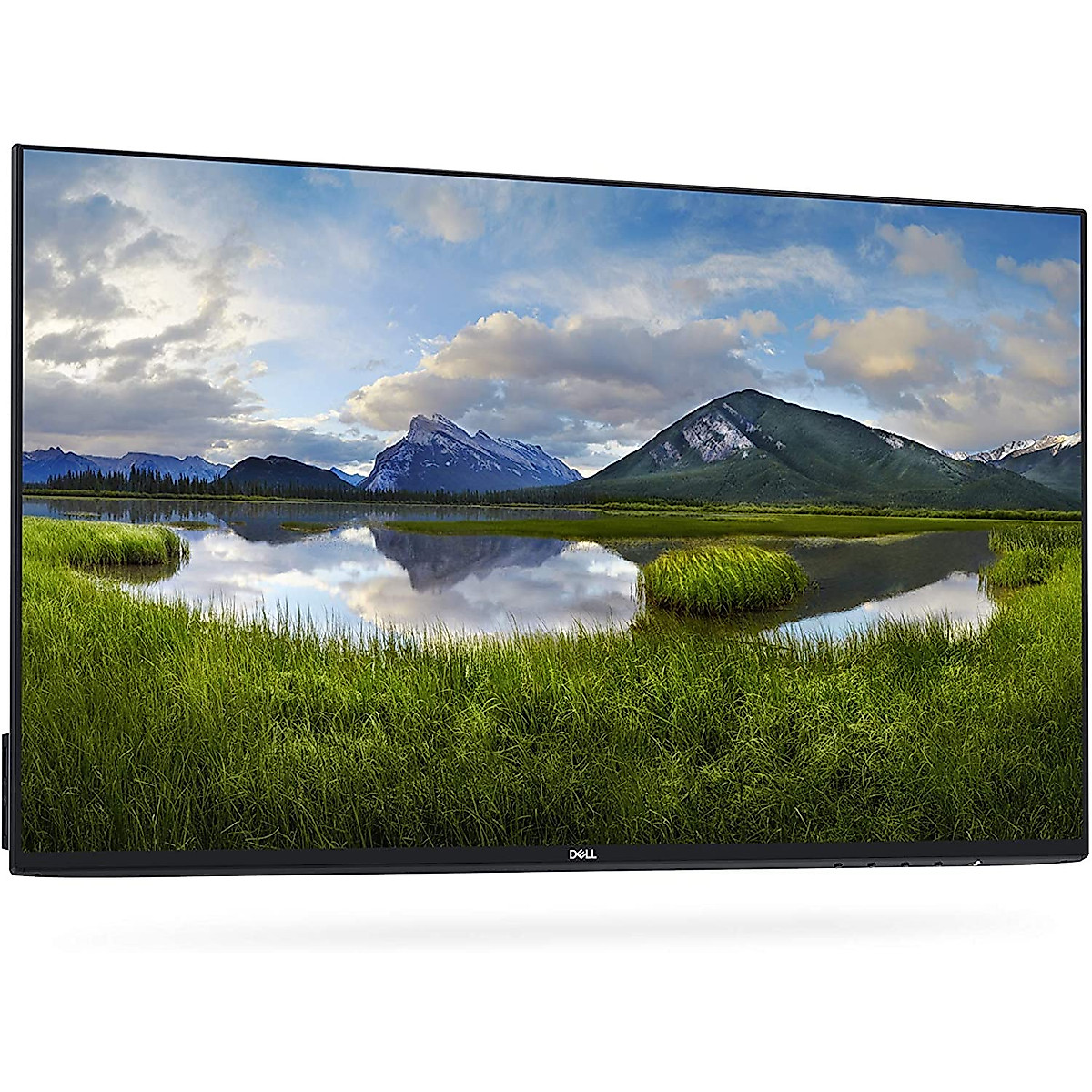 Dell UltraSharp 24 Monitor: U2419H Without Stand