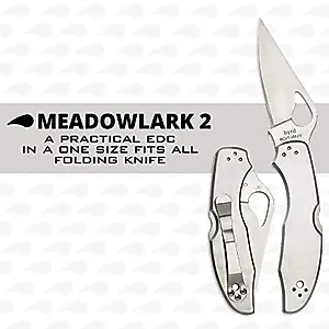 Spyderco Byrd Meadowlark 2 Knife with 2.90" Steel Blade and Durable Stainless Steel Handle - PlainEdge - BY04P2