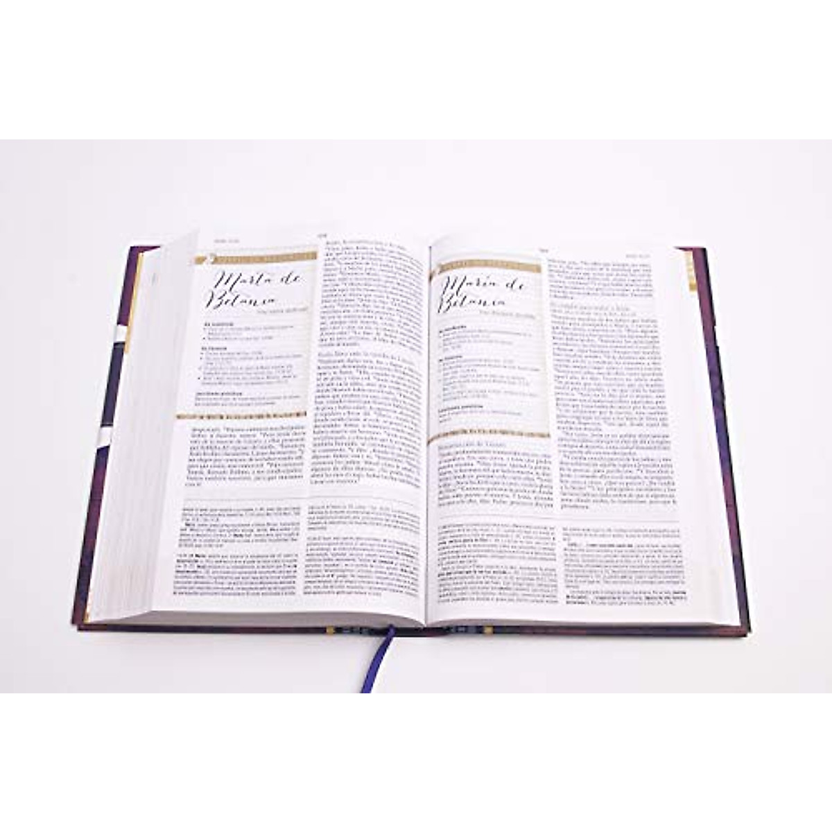 Biblia Reina Valera 1960 de Estudio para Mujeres, Tapa dura | RVR 1960 Women Study Bibl, Hardcover (Spanish Edition)