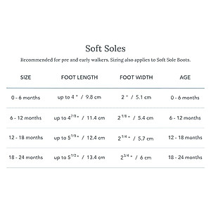 Robeez Baby Boys First Kicks, Adam Grey Leather, 9-12 Months