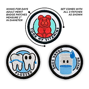 Winks For Days Adulting Merit Badge Embroidered Iron-On Patches (Health - Set 2) - Includes Three (3) 2" Patches: Flossed, Took My Vitamins, and Drank Some Water