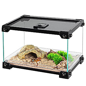 OIIBO Small Glass Reptile Terrarium 12" x 8" x 8" Top Feeding Reptile Tank Full View Visually Appealing Reptile Amphibians Habitat Enclosure