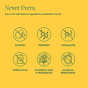 Evereden Soothing Belly Mask - 1 Belly Mask for Pregnant Women 2nd & 3rd Trimester - Hydrating, Nourishing, & Soothing Pregnancy Skin Care Belly Masks - Clean & Vegan Pregnancy & Maternity Products