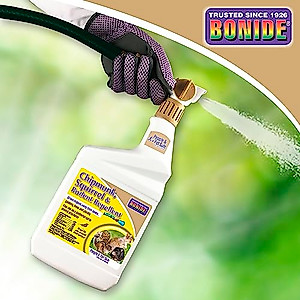 Bonide Chipmunk, Squirrel & Rodent Repellent, 32 oz Ready-to-Spray for Outdoor Use, Deter from Lawn & Garden