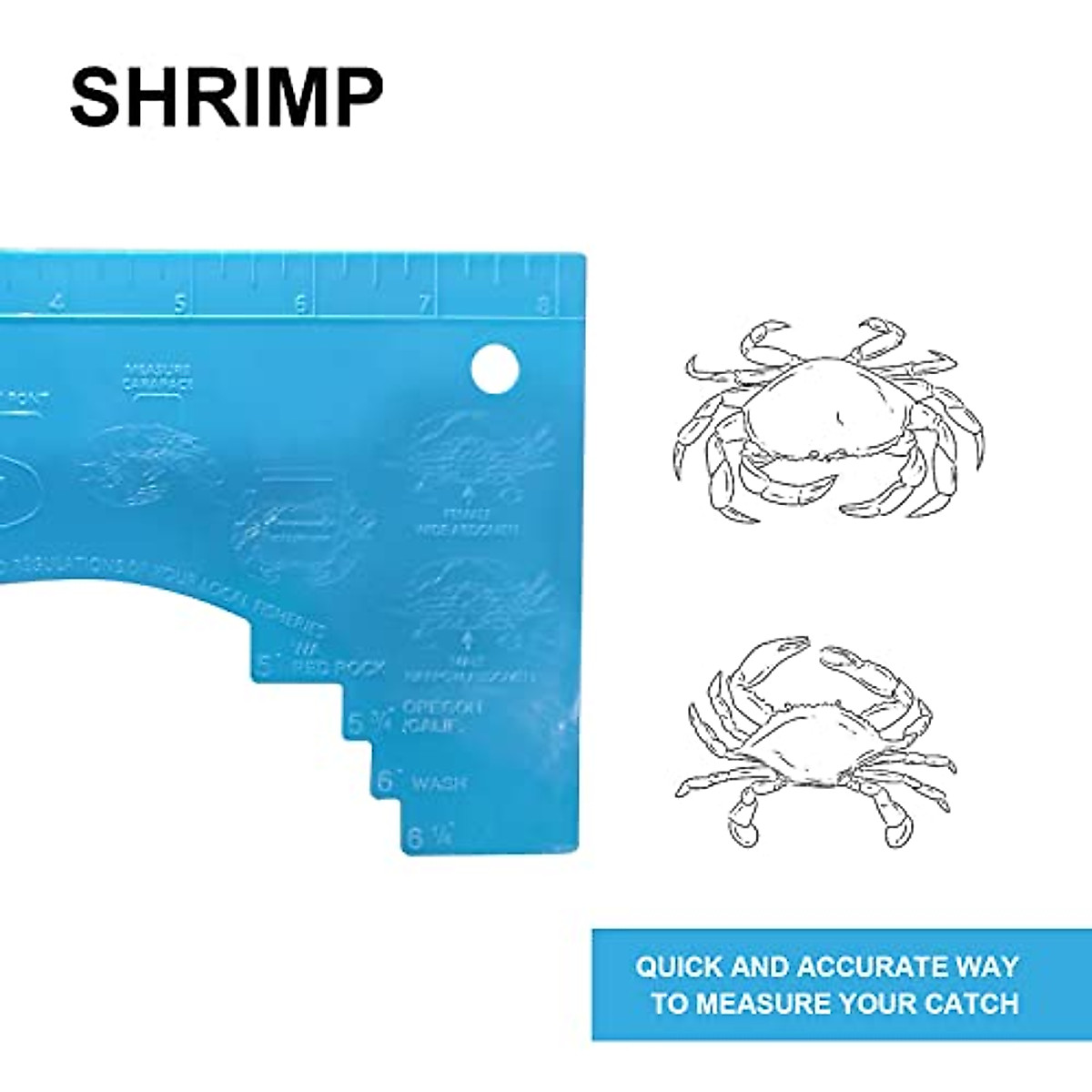 PLIS Dungeness Crab Gauge Measure Multi Shrimp Clam Measuring Tool for Oregon, Washington and California (Blue)