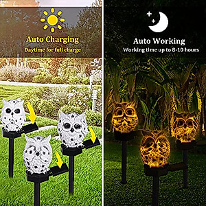 LIGHTSHINE Mini Owl Decor Outdoor Figurine Lights, IP44 Waterproof Solar Pathway Stake Lights, Solar Garden Decorations Lights, Outdoor Decorative Landscape Path Lights (3 Count)