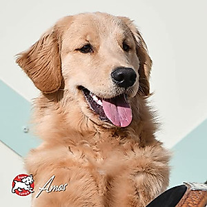 Fromm Four Star Surf and Turf Dog Food, 4-Pound Bag