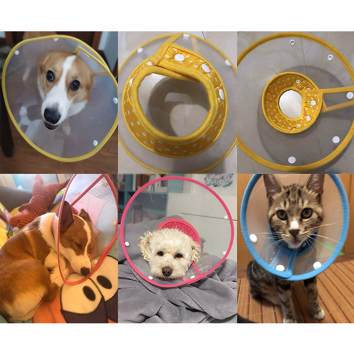 BabyHomder Pet Recovery Collar with Soft-Edge for Small Medium Sized Dogs and Cats for Postoperative Protection & Prevent Pets from Biting Wounds(Blue)