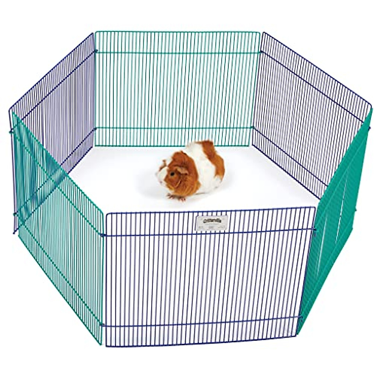 Small Animal Pet Playpen /Exercise Pen, Blue and Green,1 Count (Pack of 1), Small Animal Playpen.