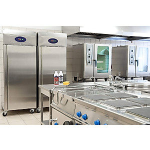 Stainless Steel Rust Remover & Cleaner, NSF Approved Safe for Food Areas. Non-Toxic Stainless Steel Cleaner for Appliances is Perfect for Rust Stains, Your Fridge, Best Knife or Pan & more (17 oz)