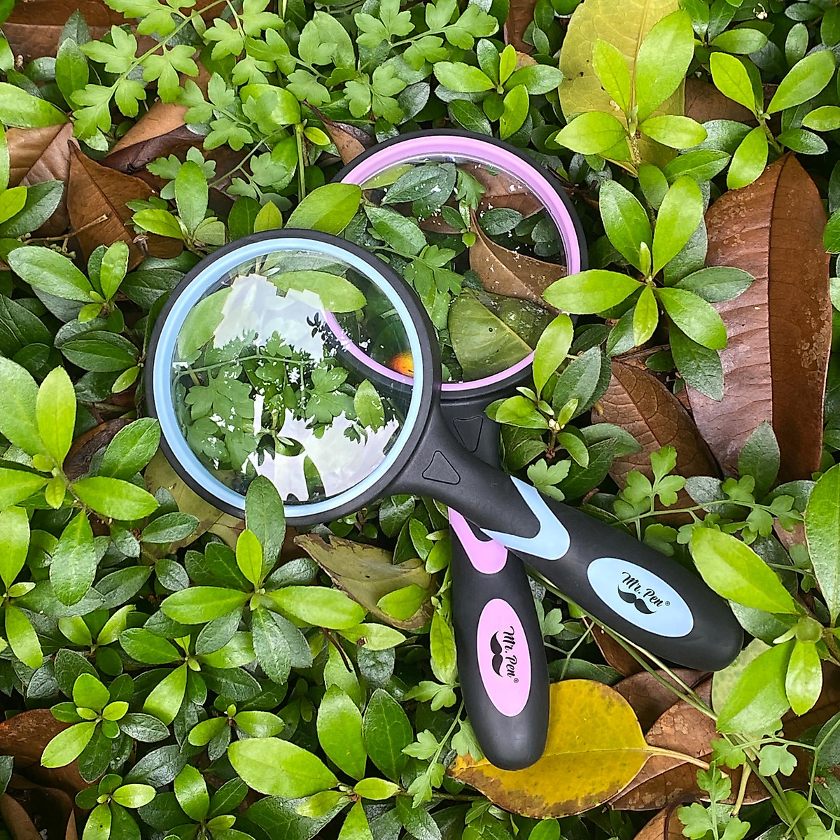 Mr. Pen- Magnifying Glass, 2 Pack, 10X Magnifier, 75mm Glass Lens, Magnifying Glass for Kids and Adults, Handheld Magnifying Glass, Magnifier for Reading, Magnifying Glasses for Close Work