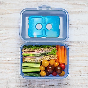 Healthy Packers Ice Packs for Lunch Bags - Original Cool Pack | Slim & Long-Lasting Reusable Ice Pack for Lunch Box, Lunch Bag and Cooler | Freezer Packs for Coolers (Set of 10)