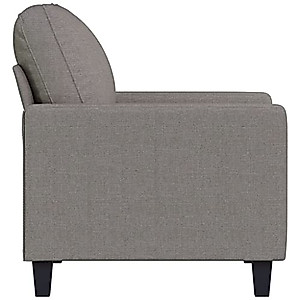 WHOPBXGAD Sofa Chair,Living Room Sofas, upholstered Sofas for Living Rooms, bedrooms, Offices and Apartments,Light Gray 23.6" Fabric