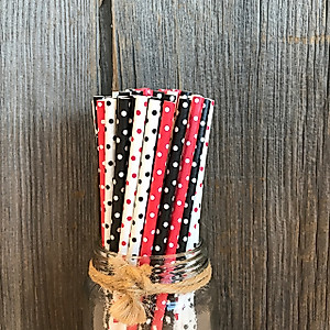 Paper Drinking Straws - Black Red and White Polka Dot - Ladybug Theme - 7.75 x .25 Inches - 100 Pack - Outside the Box Papers Brand