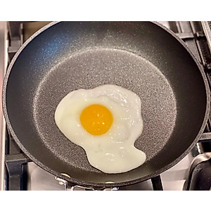 Spring Meridian Intense Pro Nonstick Recycled Aluminum Fry Pan, 8-Inch