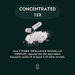 TRIBE ORGANICS Boswellia Serrata Complex Supplement for Joint Support, Muscle Relief - Vegetarian Non-GMO 120 Capsules, High Potency - Boswellin Super with Ginger Extract & Black Pepper - 420mg
