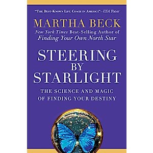Steering by Starlight: The Science and Magic of Finding Your Destiny