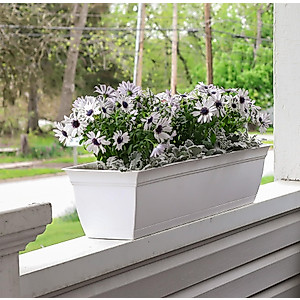 The HC Companies 30 Inch Eclipse Window Planter - Indoor Outdoor Rectangular Plant Pot with Removable Saucer for Flowers, Herbs, White