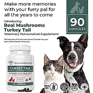 Turkey Tail Pet Support - Dog Multivitamins and Supplements for Immune Support, Gut Health & Wellness - Grain-Free, Gluten-Free, Vet-Approved Dog Supplement (90ct)