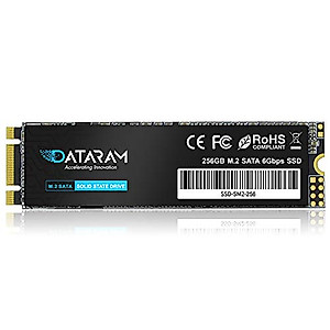 Dataram M.2 SSD 256GB, M.2-2280 Internal Hard Drive Sata Protocol, 550MB/S 6Gbps,High-Performance for Laptop PC, Desktop