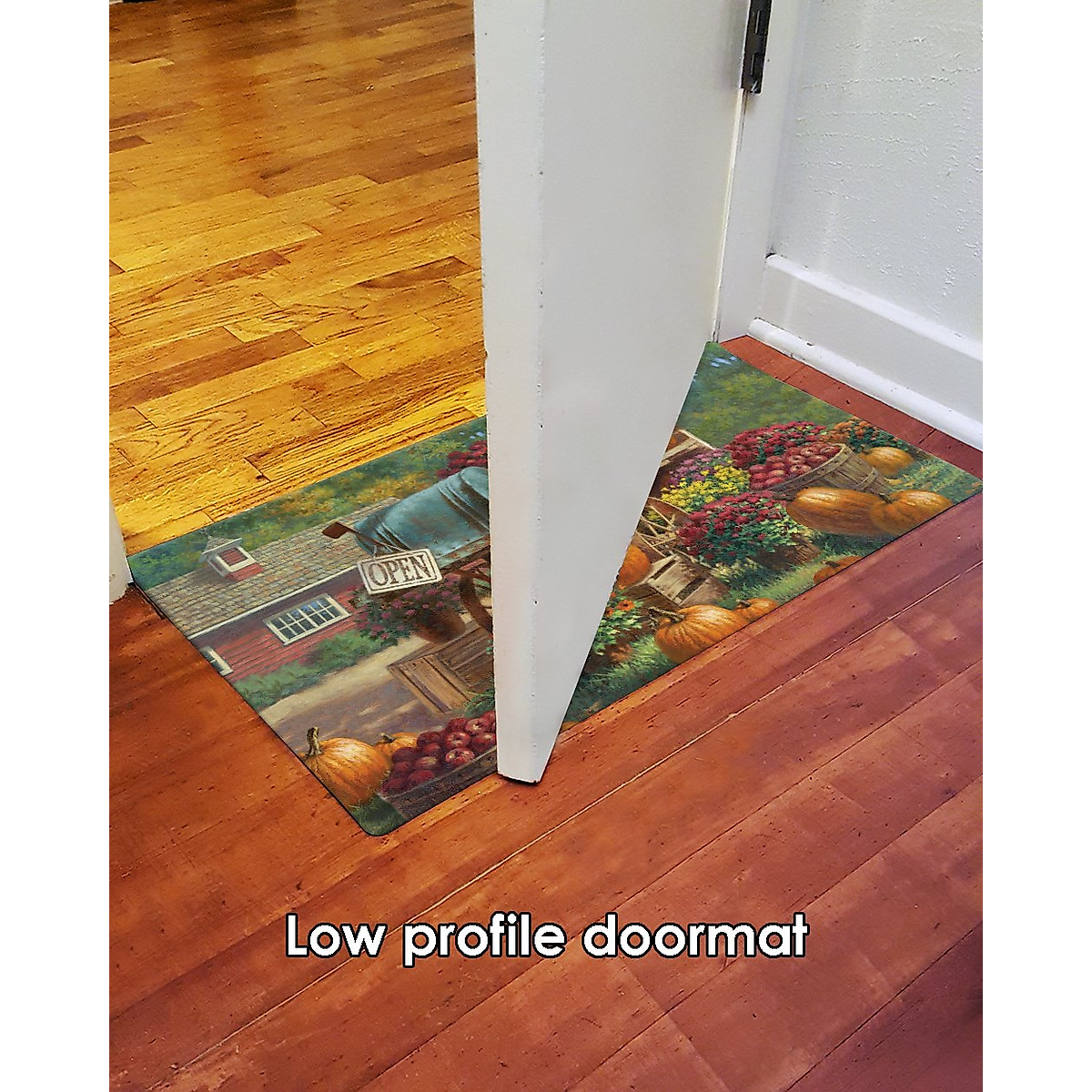 Toland Home Garden 800281 Farm Pumpkin Fall Door Mat 18x30 Inch Harvest Outdoor Doormat for Entryway Indoor Entrance