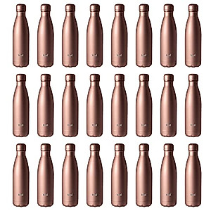 MEPRA AZB200693B 17 oz Insulated Stainless Steel Water Bottle with Screw Lid, Keeps Drinks Cold and Hot for 12 Hours, Dishwasher Safe, Bronze (Pack of 24)