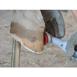 Complete Horse Hoof Trimmer Set – Electric Plug in - 110 Volt - Accessories Included