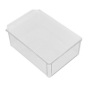 Delaman Pantry Storage Bins with Lid Large Capacity Transparent Food Grade Portable Durable Multifunction Pantry Containers(B)