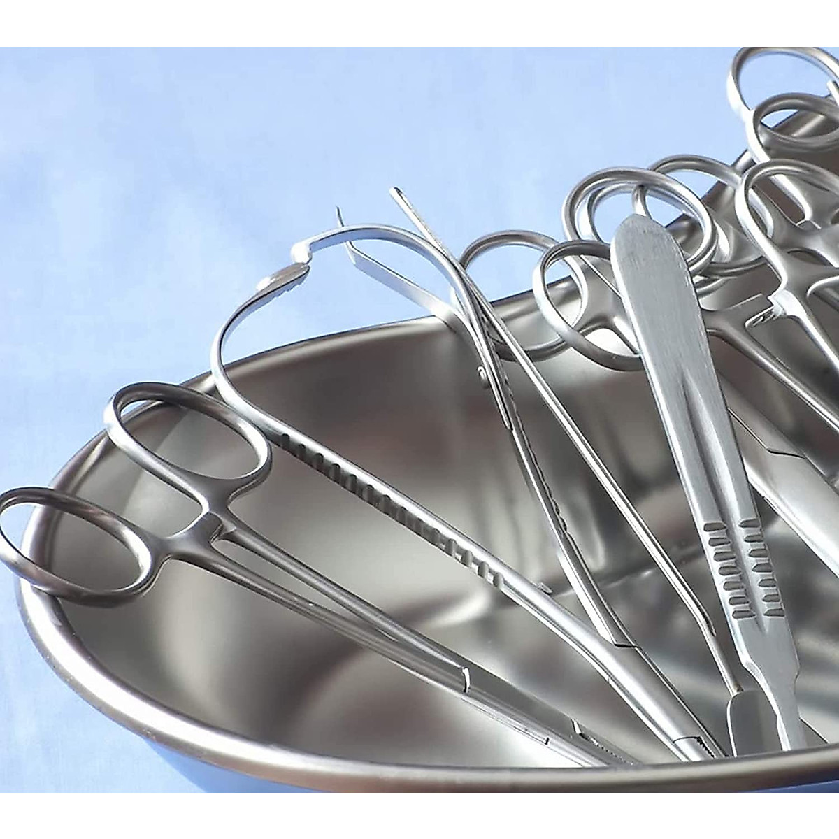 Bosky Stainless Steel Large Kidney Tray 10" inch Basin Finest Emesis Bowl SS 304 Round Edges Surgical Utility 600 cc