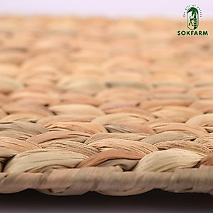 SOKFARM Boho Placemats Set of 8, Rectangle Placemats for Dining Table, Water Hyacinth Wicker Placemats, Straw Placemats Rectangle Woven Placemats Set of 8, Placemats for Dining Table Set of 8, 17x12