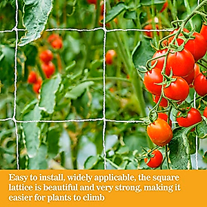Sukh 2 Pcs Garden Plant Trellis Netting - 5 x 15 ft Trellis Net Polyester Trellis Netting Garden Square Mesh Netting for Climbing Plants Outdoor, Fruits, Vegetables, Vines, Grow Tents