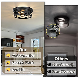 2-Light Flush Mount Ceiling Light Fixtures, 2-Pack Farmhouse Black Ceiling Lights, Industrial Metal Cage Light Fixtures Ceiling Mounted with Adjustable Head, Ceiling Lights for Bedroom Hallway Kitchen