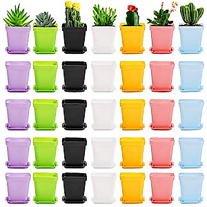 Hedume 70 Pack Mini Plastic Flower Seedling Nursery Pot with Pallet, 3" Colorful Square Plant Pot, Indoor Outdoor Flower Plant Container, Decor for Room, Garden, Office and Balcony (7 Colors)