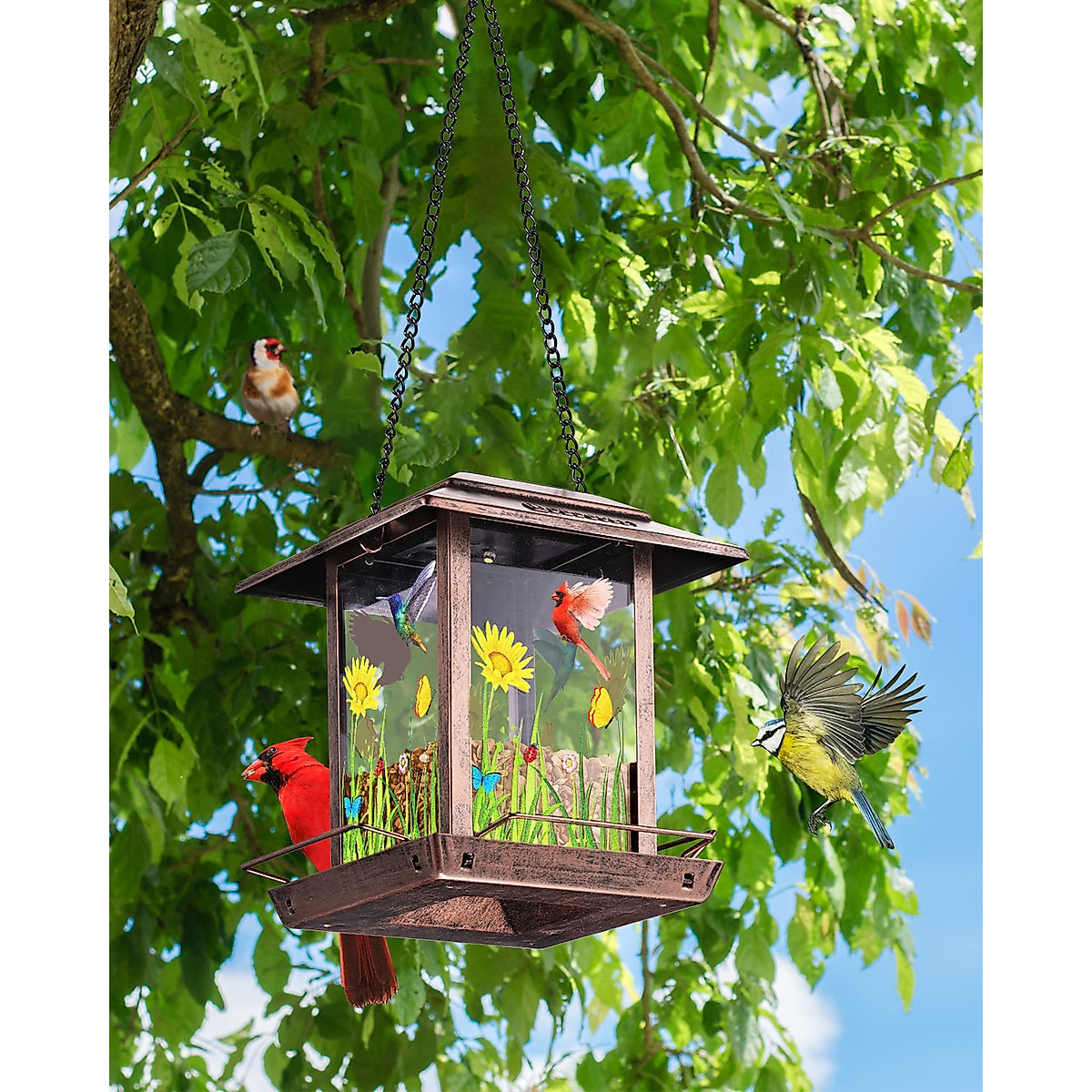 DesGully Bird Feeders for Outdoors Hanging - 2.5 LBs Wild Birds Metal Solar Bird Feeder for Outside Gift Ideas for Bird Lovers Garden Yard Bird Seeds (Chew-Proof,Weather Resistance)