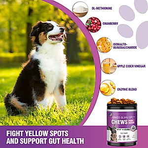 Grass Burn Spot Chews for Dogs Dog Pee Grass Neutralizer 200 Green Grass Dog Chews Urine Lawn Spot Protector Urinary Tract Support Dog Bladder Support Cranberry, Apple Cider Vinegar, DL-Methionine