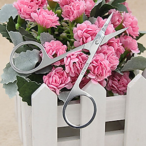 Stainless Steel Makeup Scissors Nose Hair Eyebrow Scissors Makeup Tool